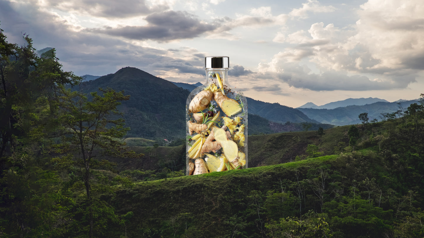 all GIMBER's products – Gimber